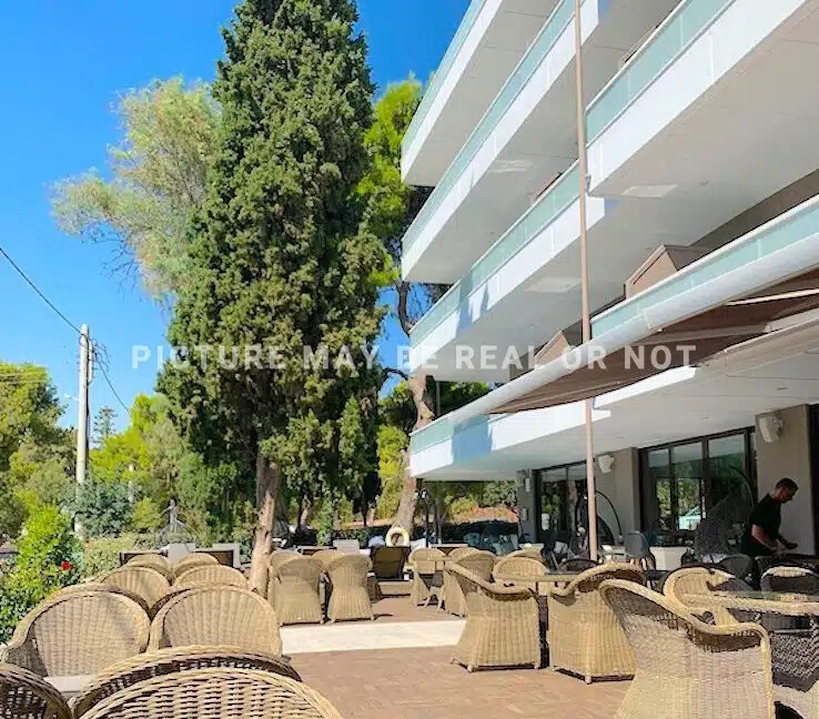Greek Hotels for Sale, Boutique Hotels and 5 Star hotels in Greece